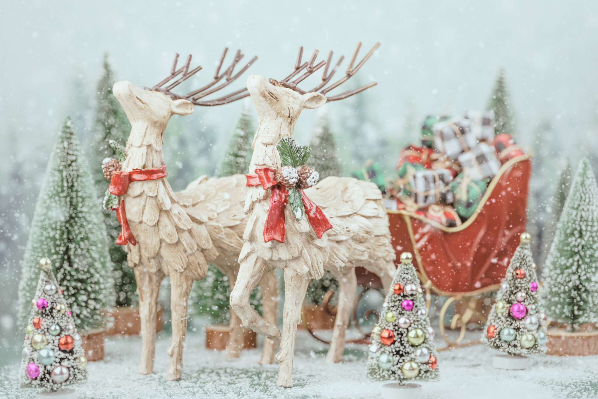 Noega Systems wishes you Happy Holidays and a prosperous 2025